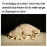 45 Funny Clean Memes That Are Safe For Work But Still Hilarious (April ...