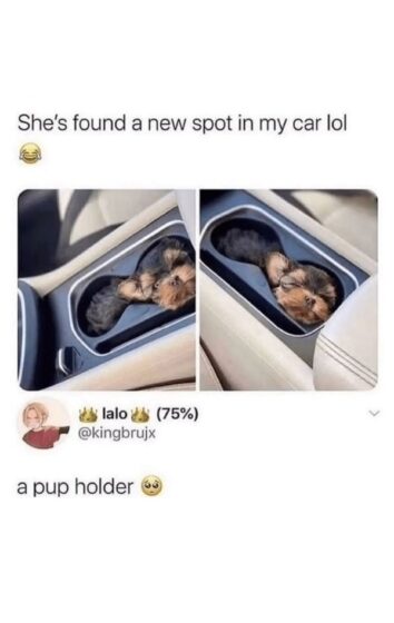 45 Funny Clean Memes That Are Safe For Work But Still Hilarious (April ...