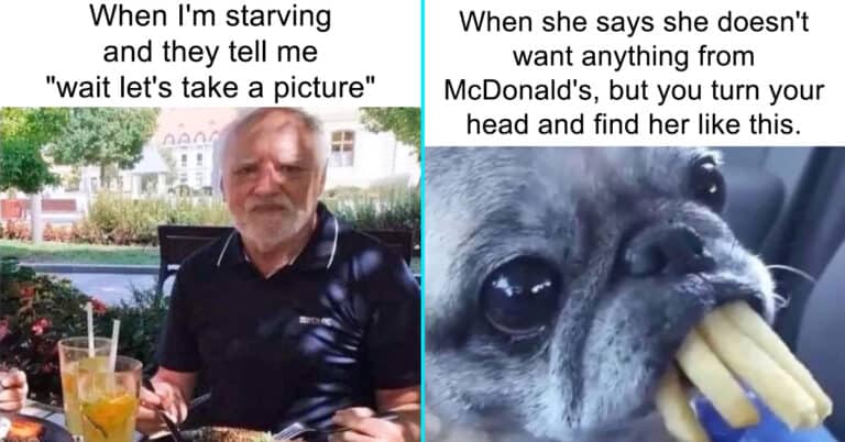 45 Funny Clean Memes That Are Safe For Work But Still Hilarious (April ...