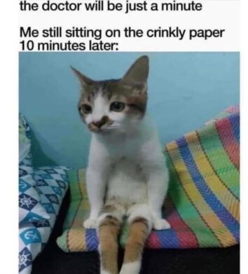 45 Funny Clean Memes That Are Safe For Work But Still Hilarious (April ...