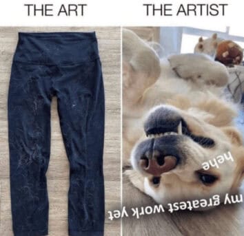 40 Funny Dog Memes That’ll Make Your Tail Wag (April 25, 2025)