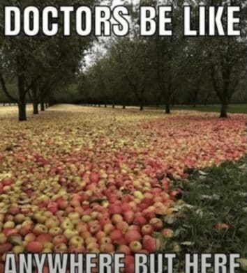 40 Juiciest Fruit Memes Enjoying The Sweet Taste Of Not Having Scurvy