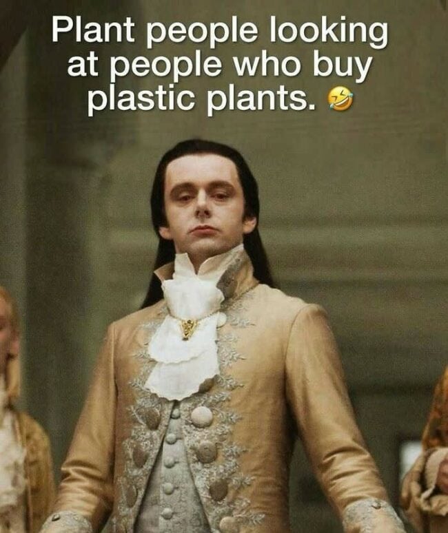 48 Blooming Plant Memes For Green Thumbs And Even Serial Houseplant ...