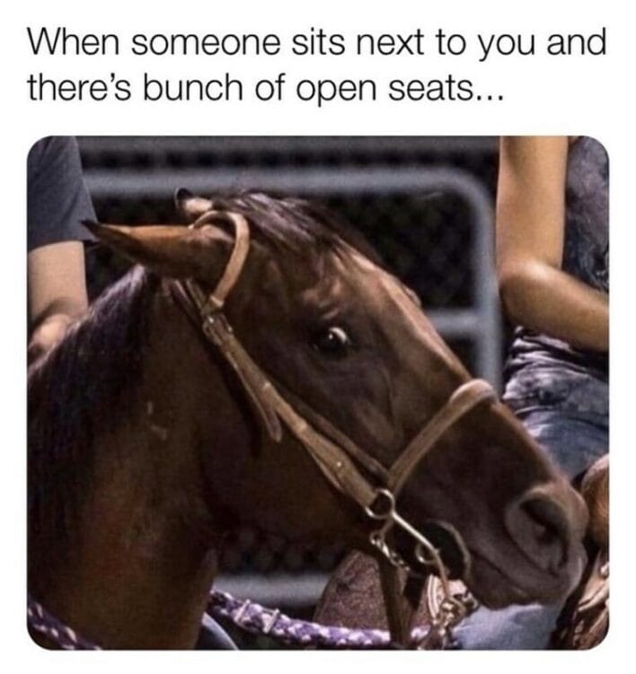 40 Funny Horse Memes That Made Us Whinny Out Loud