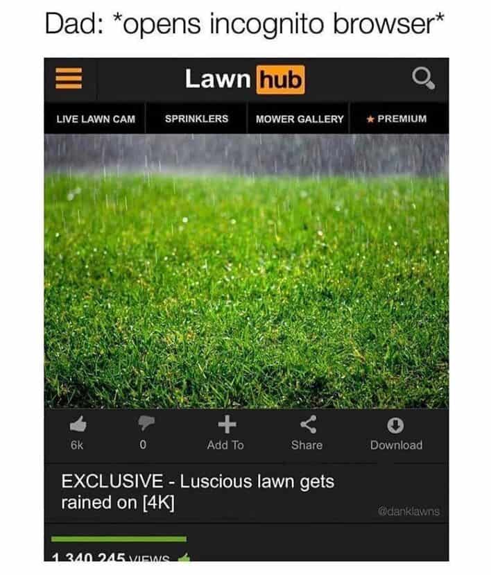 25+ Funny Lawn Care Memes For Dads Who Live For The Smell Of Fresh Cut ...