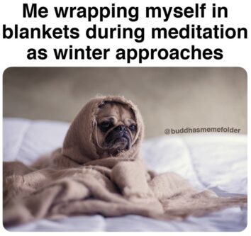 40 Funny Meditation Memes For Brave Folks Trying To Quiet Their Minds