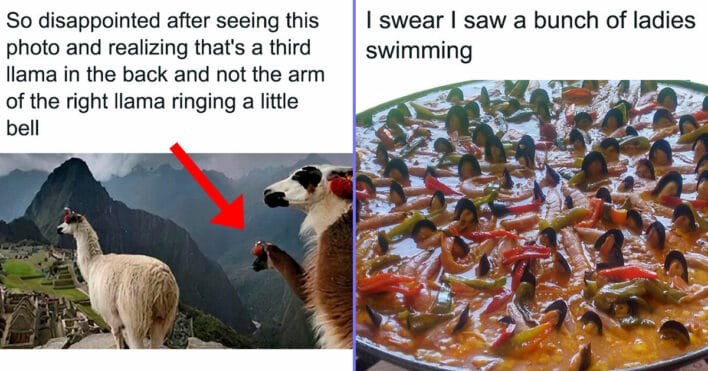 40+ Funny Random Memes For People Who Are All About That "Meme Life"