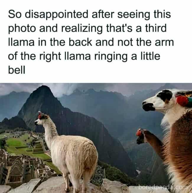 40+ Funny Random Memes For People Who Are All About That "Meme Life"