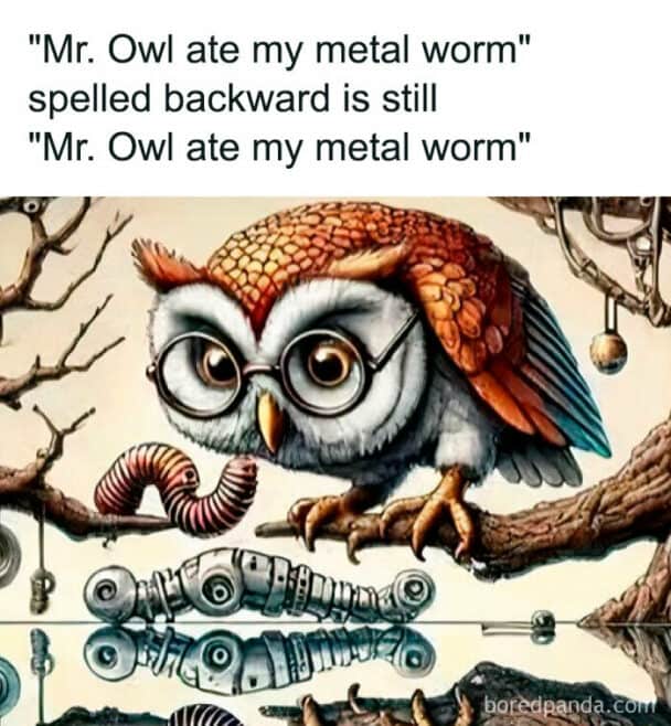 45 Funny Random Memes For People Who Are All About That "Meme Life"