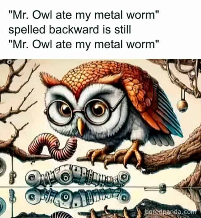 40+ Funny Random Memes For People Who Are All About That "Meme Life"