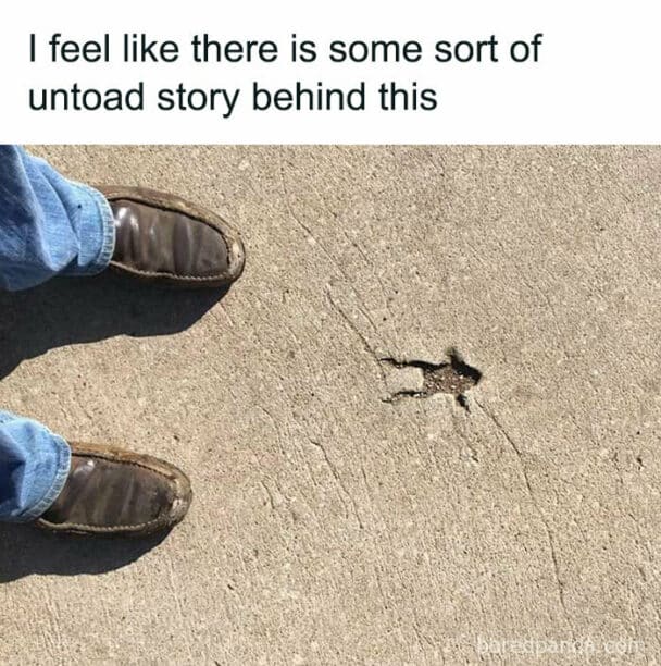 45 Funny Random Memes For People Who Are All About That "Meme Life"