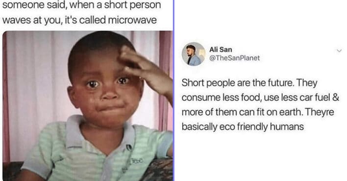42 Funny Memes For Short Kings And Queens