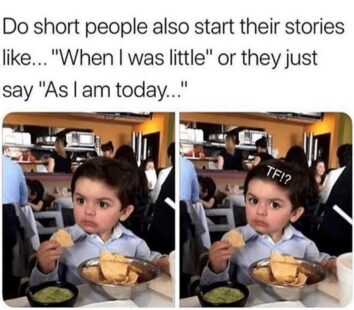42 Funny Memes For Short Kings And Queens