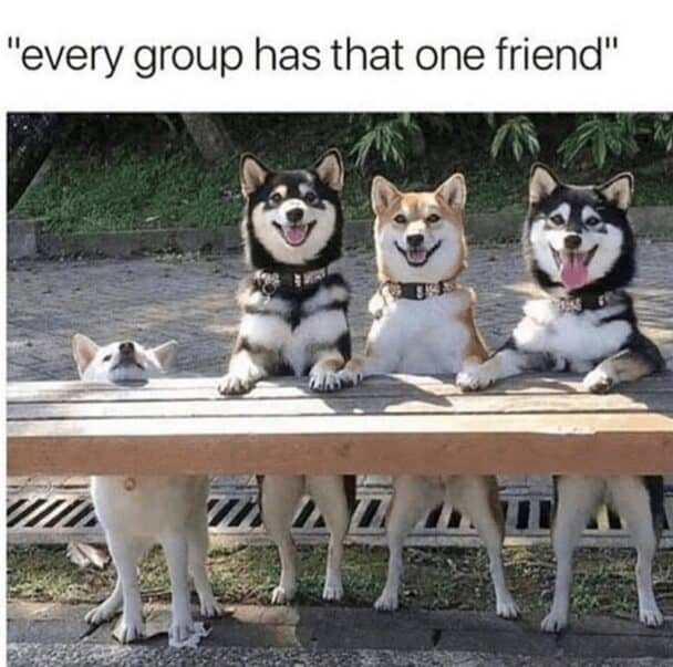 42 Funny Memes For Short Kings And Queens
