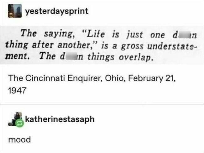50 Beautifully Nihilistic Memes For Misanthropes And Rock-Kickers Who ...