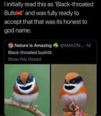 40 Hilariously Random Non-Political Tweets For A Much-Needed ...