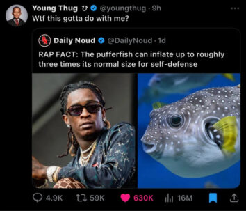 40 Hilariously Random Non-Political Tweets For A Much-Needed ...