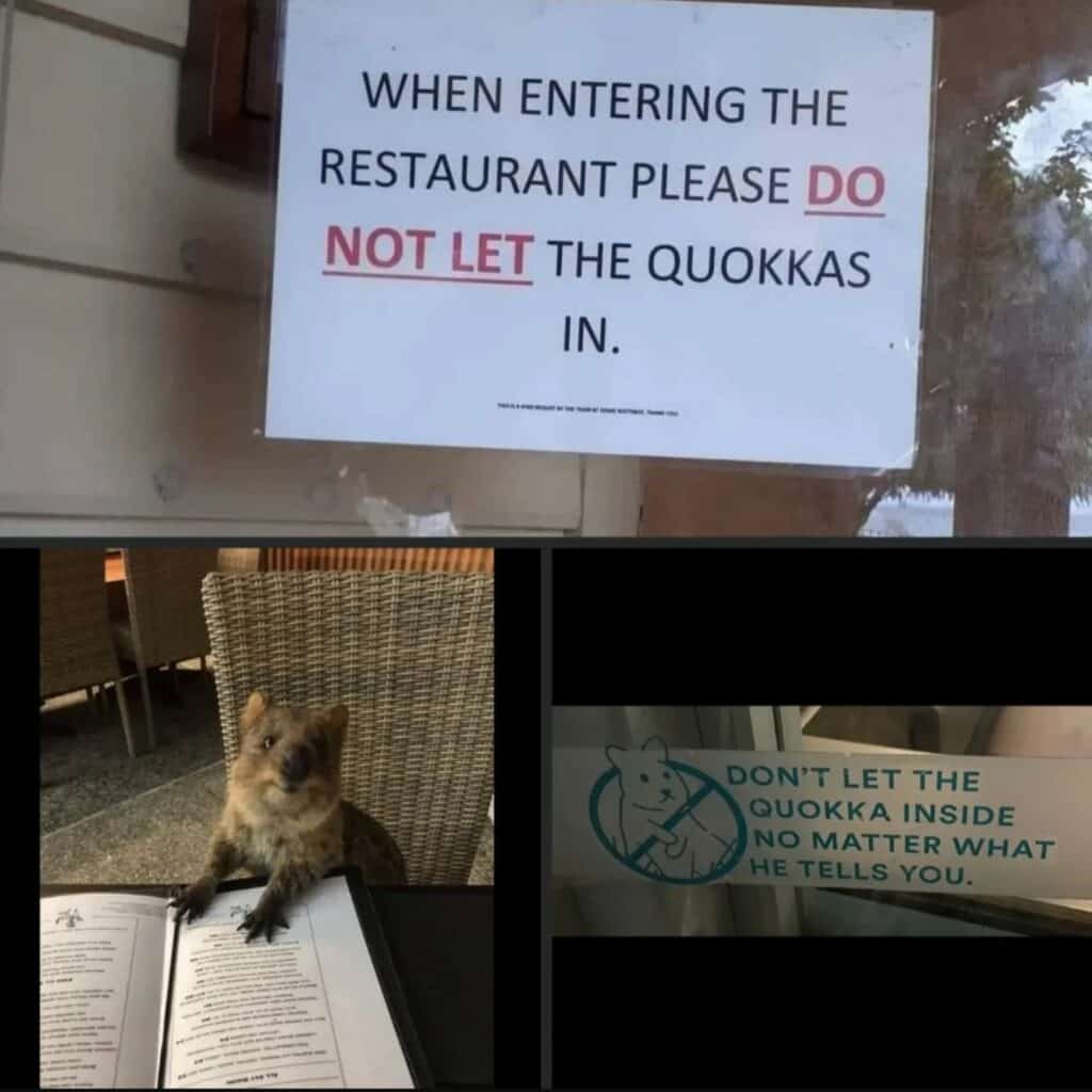 40 Hilarious Jokes So Weirdly Specific They Might Not Be Jokes At All ...