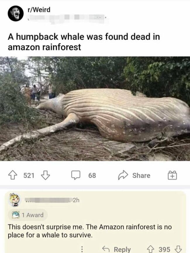 45 Funny Out Of Context Reddit Posts From The Internet's Wild West