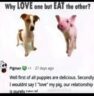 30 Funny Pig Memes That Are Bacon Us Laugh