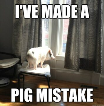 30 Funny Pig Memes That Are Bacon Us Laugh