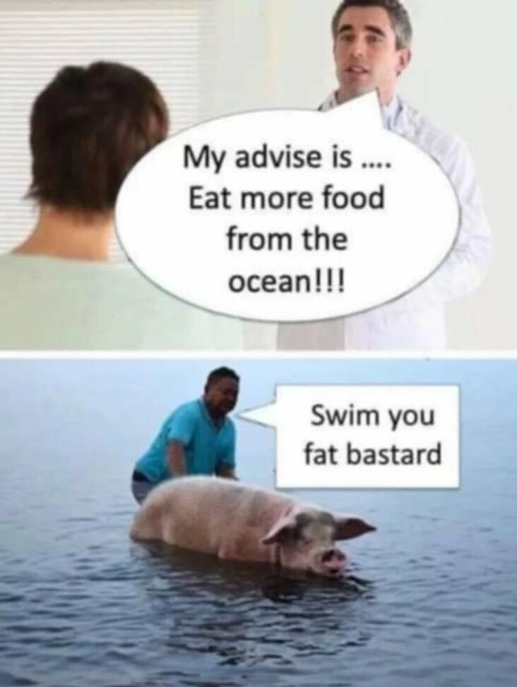 30 Funny Pig Memes That Are Bacon Us Laugh