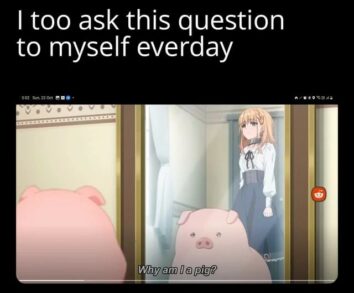 30 Funny Pig Memes That Are Bacon Us Laugh