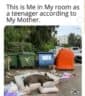 30 Funny Pig Memes That Are Bacon Us Laugh