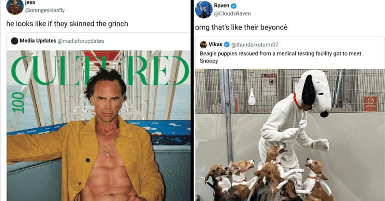 38 Funniest Quote Tweets That Took Ordinary Posts And Gave Them A ...