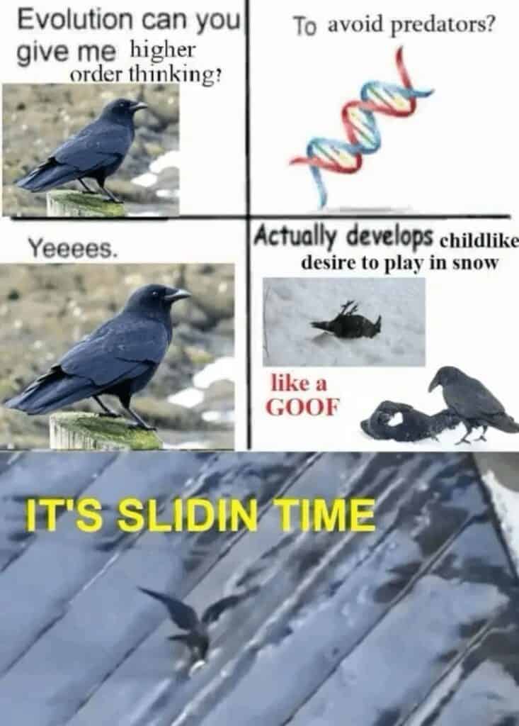 40 Peer-Reviewed Funny Science Memes That Deserve A Nobel Prize In ...