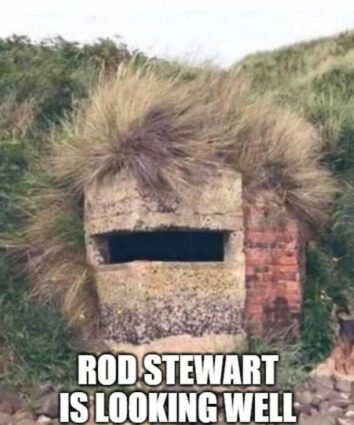 32 Funny Scottish Memes And Tweets That Slap Harder Than A Glasgow Wind