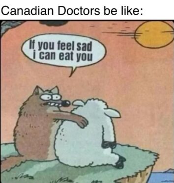 31 Un-baa-lievably Funny Sheep Memes For Those Who Love Shear Comedy