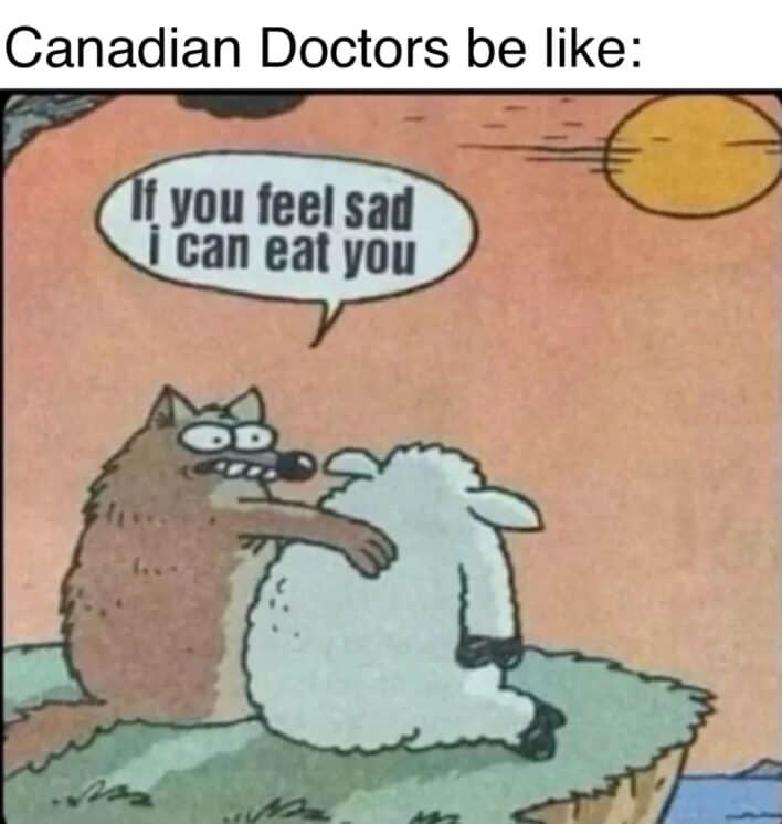 31 Un-baa-lievably Funny Sheep Memes For Those Who Love Shear Comedy