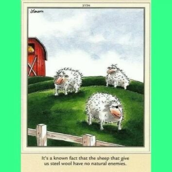 31 Un-baa-lievably Funny Sheep Memes For Those Who Love Shear Comedy