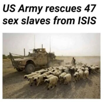 31 Un-baa-lievably Funny Sheep Memes For Those Who Love Shear Comedy