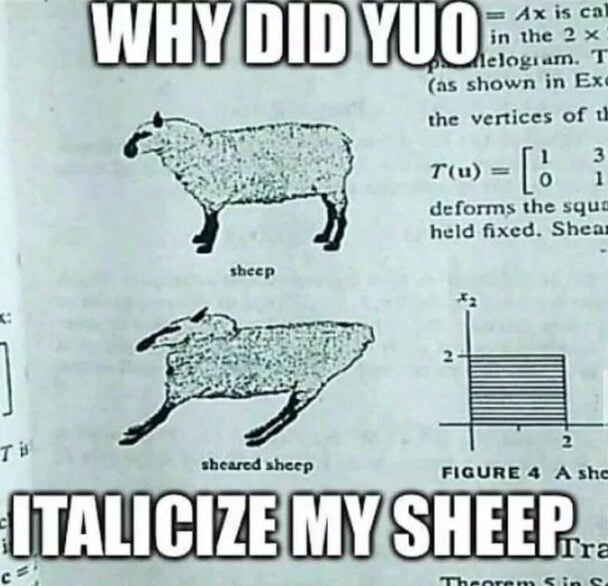 31 Un-baa-lievably Funny Sheep Memes For Those Who Love Shear Comedy