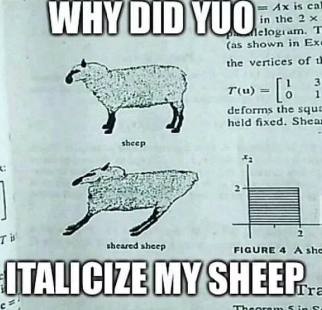 31 Un-baa-lievably Funny Sheep Memes For Those Who Love Shear Comedy