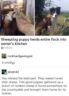 31 Un-baa-lievably Funny Sheep Memes For Those Who Love Shear Comedy