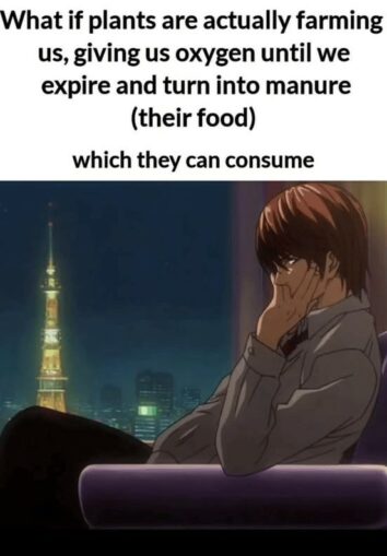 43 High IQ Memes For The Cleverest Minds And Sharpest Wits