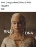 43 High IQ Memes For The Cleverest Minds And Sharpest Wits