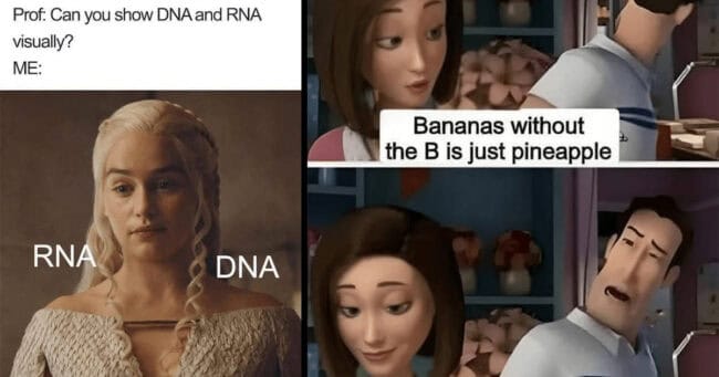 43 High IQ Memes For The Cleverest Minds And Sharpest Wits