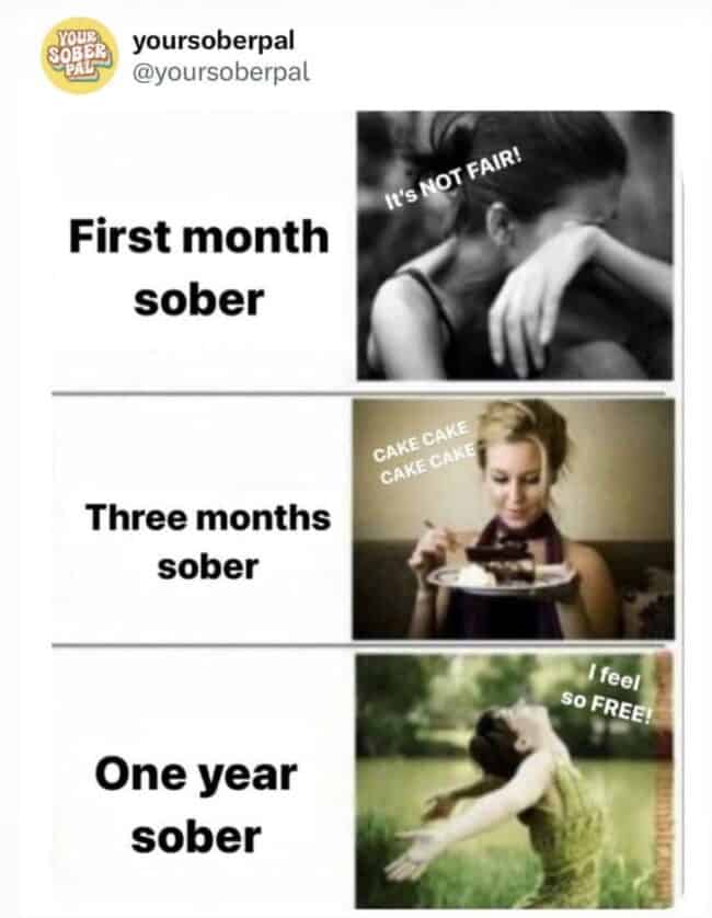 45 Funny Sobriety Memes You Can Enjoy One Day At A Time