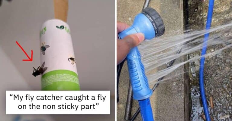 45 Funny Times 'Task Failed Successfully' Turned Epic Fails Into Wins