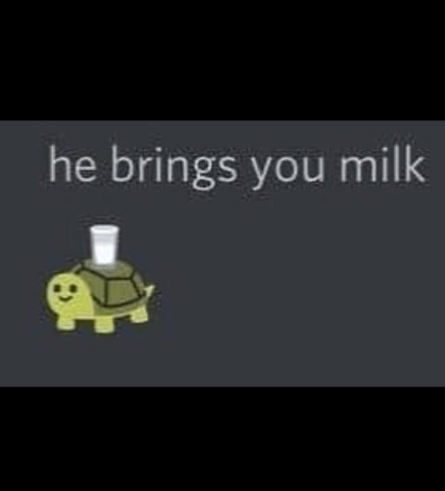 46 Funny Turtle Memes For Turt-Lovers Who Feel Bad When They Play Mario