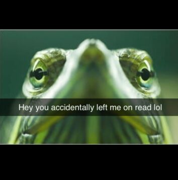 46 Funny Turtle Memes For Turt-Lovers Who Feel Bad When They Play Mario
