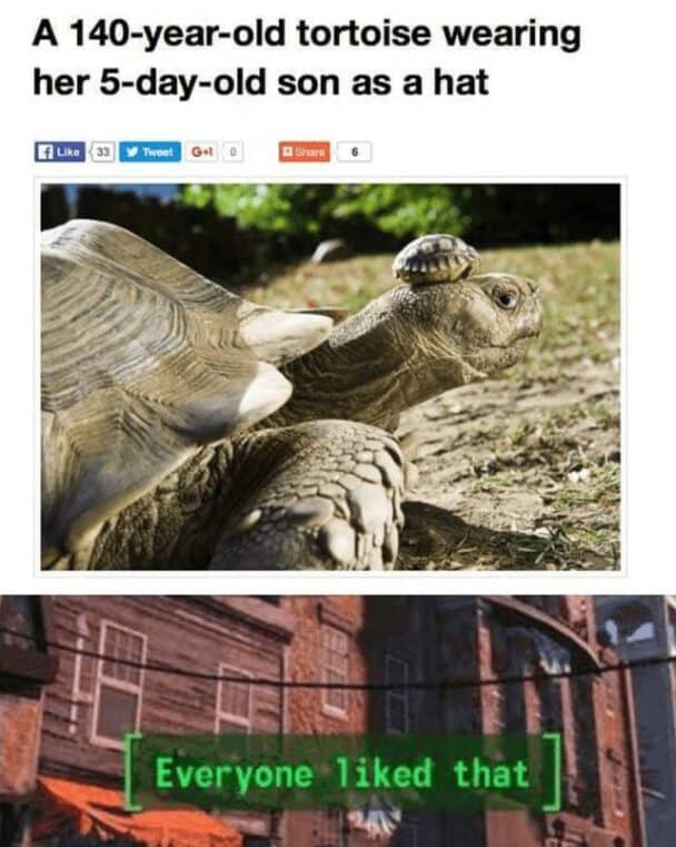 46 Funny Turtle Memes For Turt-Lovers Who Feel Bad When They Play Mario