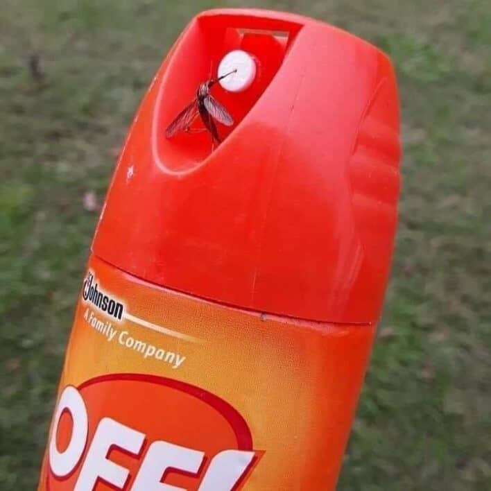 50 Unhinged Pictures That Have No Business Going This Hard