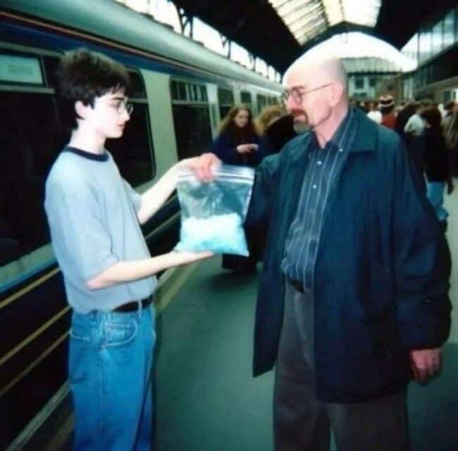 50 Unhinged Pictures That Have No Business Going This Hard