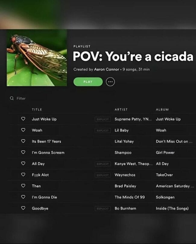 40 Hilariously Weird Spotify Playlists Making Jokes Out Of Song Titles