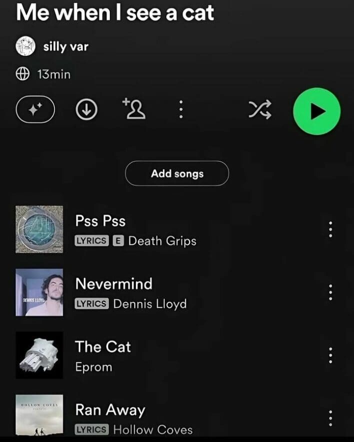 40 Hilariously Weird Spotify Playlists Making Jokes Out Of Song Titles